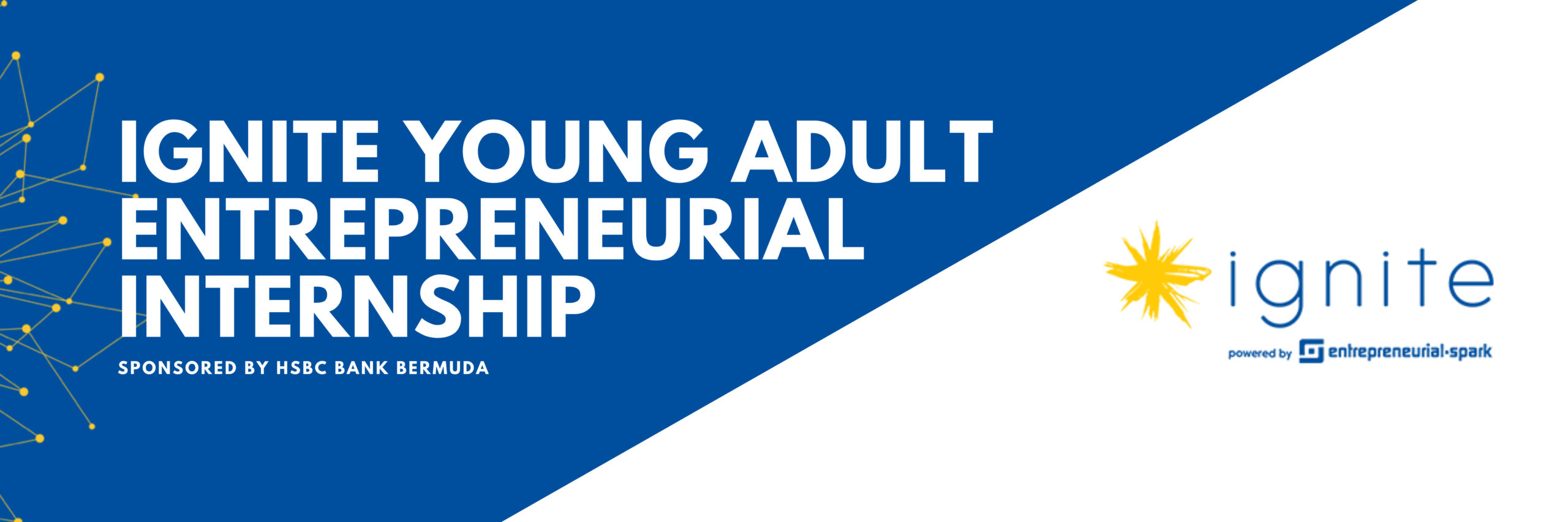 Ignite Young Adult Entrepreneurial Internship - Ignite Bermuda